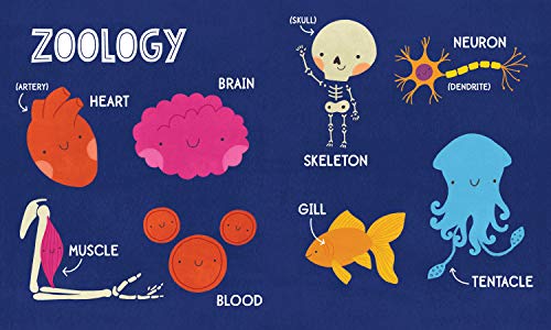 My First 100 Science Words: The New Early Learning Series from the #1 Science Author for Kids (Padded Board Books, Gifts for Toddlers, Science Board Books for Babies) (My First STEAM Words)