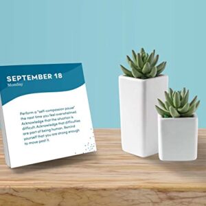 2023 Everyday Calm Boxed Calendar: 365 Days of Inspiration and Mindfulness to Reset, Refresh, and Live Better (Motivational, Self-Care & Daily Stress Relief Desk Gift)