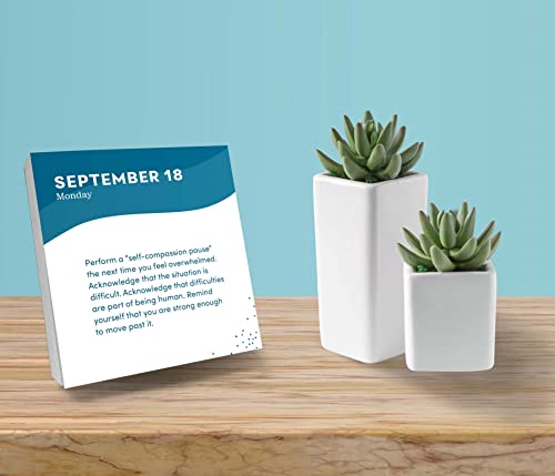 2023 Everyday Calm Boxed Calendar: 365 Days of Inspiration and Mindfulness to Reset, Refresh, and Live Better (Motivational, Self-Care & Daily Stress Relief Desk Gift)