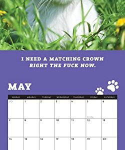 2023 Too F*cking Cute Cats Wall Calendar: A Year of D*mn Adorable Kitties (Funny Monthly Calendar & White Elephant Gag Gift for Cat Lovers)