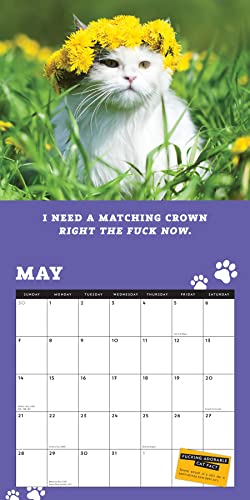 2023 Too F*cking Cute Cats Wall Calendar: A Year of D*mn Adorable Kitties (Funny Monthly Calendar & White Elephant Gag Gift for Cat Lovers)