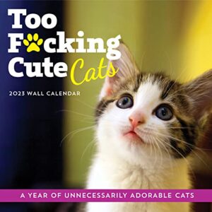 2023 too f*cking cute cats wall calendar: a year of d*mn adorable kitties (funny monthly calendar & white elephant gag gift for cat lovers)