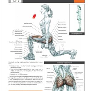 Strength Training Anatomy