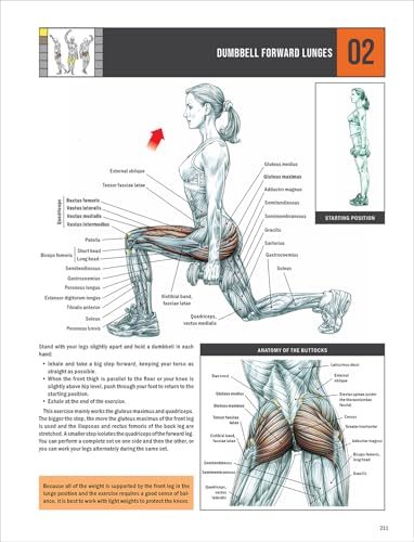 Strength Training Anatomy