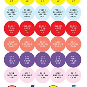 F*cking Planner Stickers: 500+ Funny Adult Stickers to Control Your Sh*t (Journal Variety Pack, White Elephant Gift)