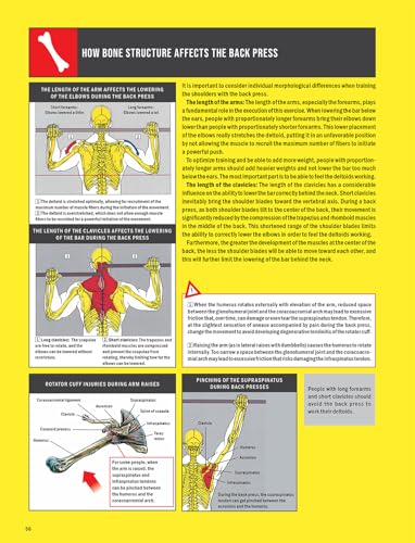 Strength Training Anatomy