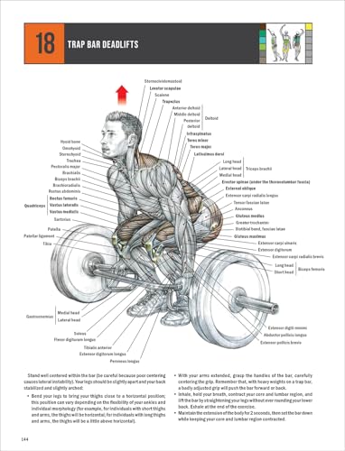 Strength Training Anatomy