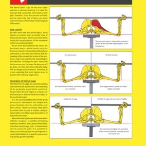 Strength Training Anatomy