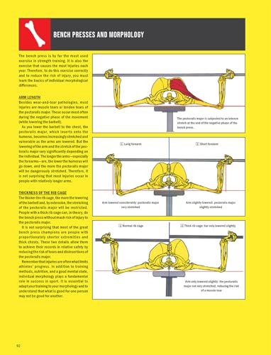 Strength Training Anatomy