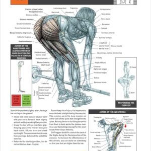 Strength Training Anatomy