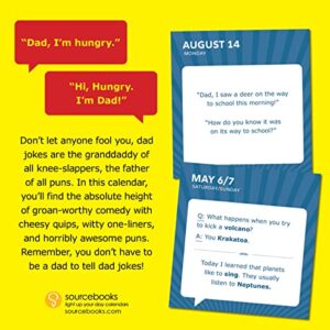 2023 Dad Jokes Boxed Calendar: 365 Days of Punbelievable Jokes (Daily Joke Calendar for Him, Desk Gift for Her)