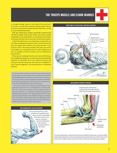 Strength Training Anatomy