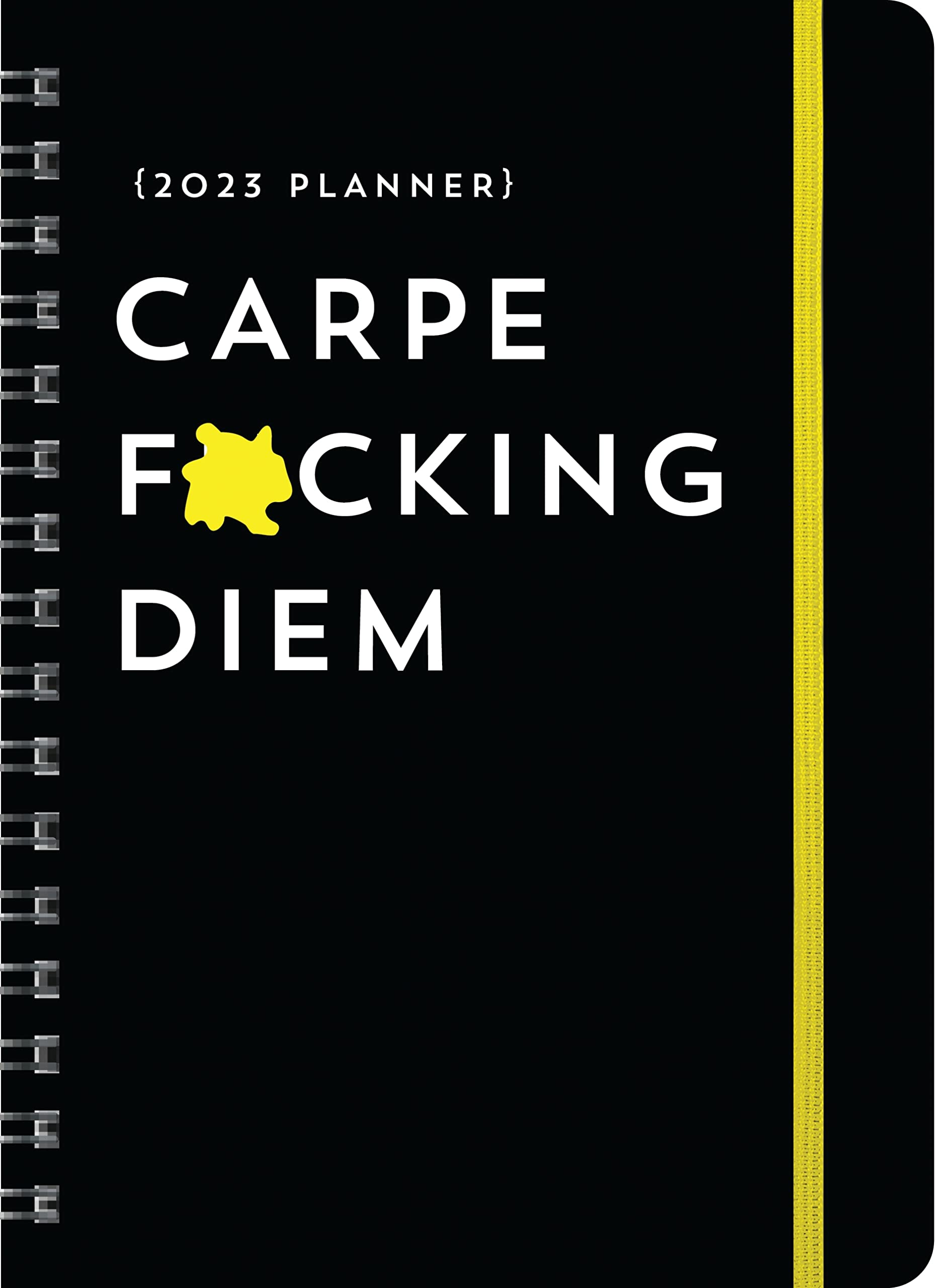 2023 Carpe F*cking Diem Planner: 17-Month Weekly Organizer with Stickers to Get Shit Done Monthly (AUGUST 2022-DECEMBER 2023) (Calendars & Gifts to Swear By)