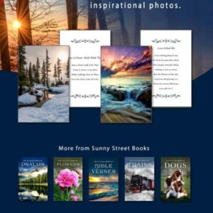 The Picture Book of Hymns: A Gift Book for Alzheimer's Patients and Seniors with Dementia (Picture Books - Christian/Inspirational)