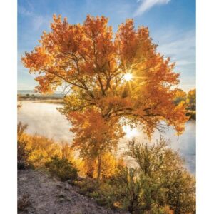 John Fielder's Colorado 2023 Scenic Engagement Calendar