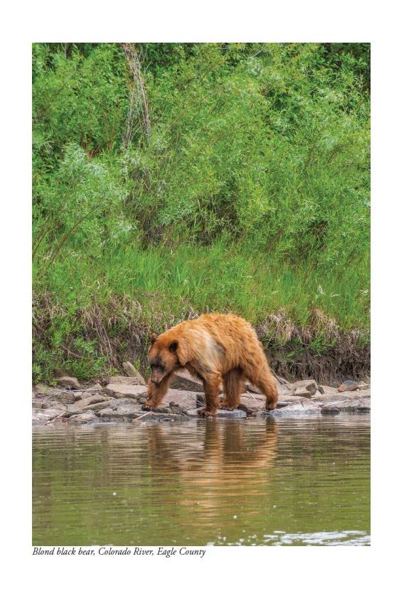 John Fielder's Colorado 2023 Scenic Engagement Calendar