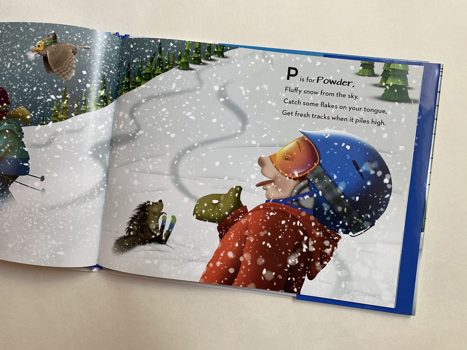 A-B-Skis: An alphabet book about the magical world of skiing