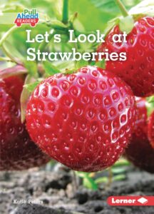 let's look at strawberries (plant life cycles (pull ahead readers ― nonfiction))