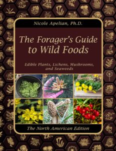 the forager’s guide to wild foods