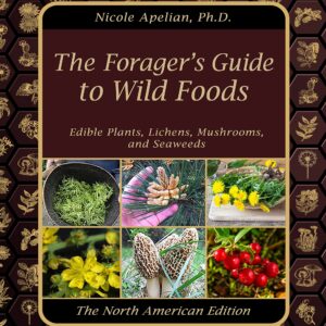 The Forager’s Guide to Wild Foods