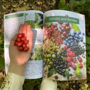 The Forager’s Guide to Wild Foods