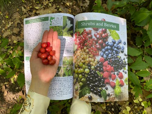 The Forager’s Guide to Wild Foods