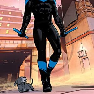 Nightwing 1: Leaping into the Light