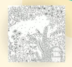 Secret Garden: An Inky Treasure Hunt and Coloring Book for Adults