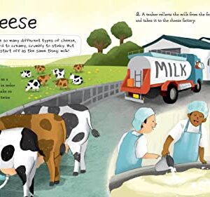 Where Does My Food Come From?: The story of how your favourite food is made