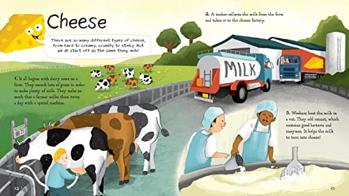 Where Does My Food Come From?: The story of how your favourite food is made