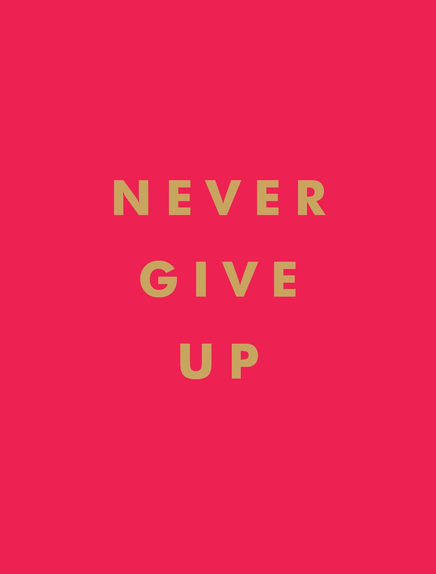 Never Give Up