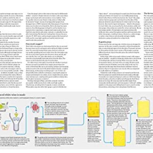 The World Atlas of Wine 8th Edition