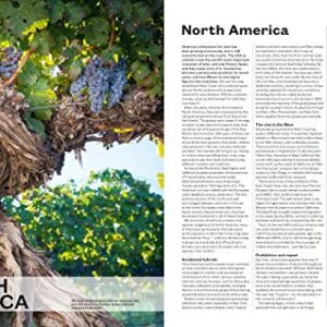 The World Atlas of Wine 8th Edition