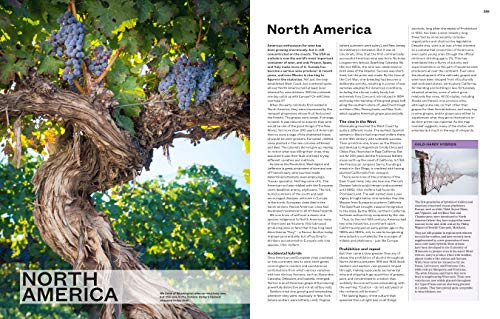 The World Atlas of Wine 8th Edition