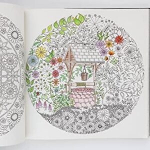 Secret Garden: An Inky Treasure Hunt and Coloring Book for Adults