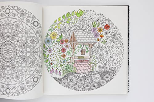 Secret Garden: An Inky Treasure Hunt and Coloring Book for Adults