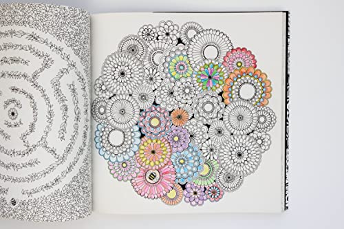 Secret Garden: An Inky Treasure Hunt and Coloring Book for Adults