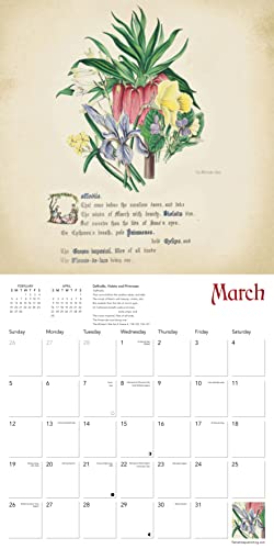 Shakespeare Birthplace Trust: The Flowers of Shakespeare Wall Calendar 2023 (Art Calendar)