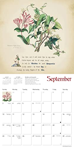 Shakespeare Birthplace Trust: The Flowers of Shakespeare Wall Calendar 2023 (Art Calendar)