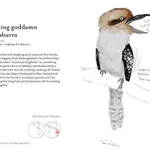 The Field Guide to Dumb Birds of the Whole Stupid World