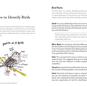 The Field Guide to Dumb Birds of the Whole Stupid World