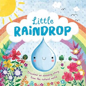 nature stories: little raindrop-discover an amazing story from the natural world: padded board book