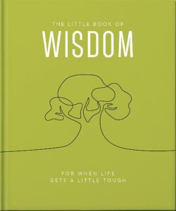 the little book of wisdom: for when life gets a little tough (little books of wellbeing)