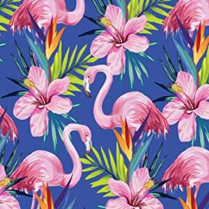 Address Book: For Contacts, Addresses, Phone, Email, Note,Emergency Contacts,Alphabetical Index With Tropical Flamingo On Blue