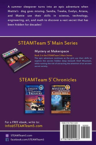 The Beginning: (STEAMTeam 5 Main Series Book 1)