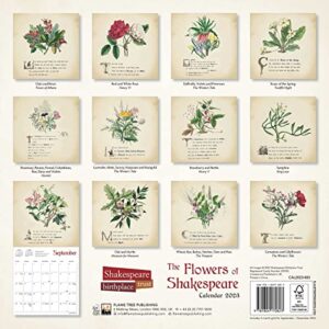 Shakespeare Birthplace Trust: The Flowers of Shakespeare Wall Calendar 2023 (Art Calendar)