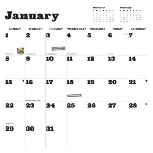 Grumpy Cat 2023 Wall Calendar