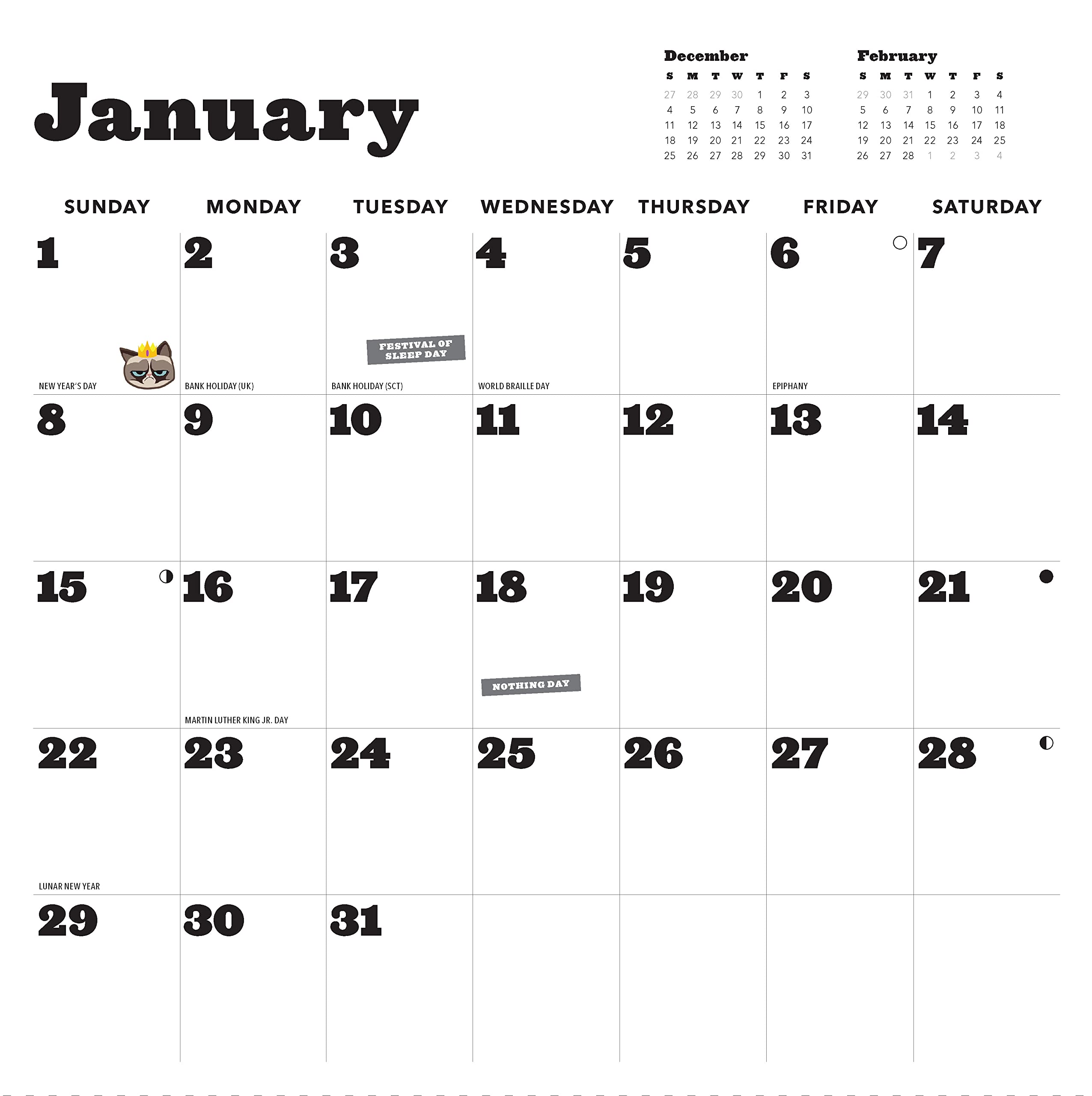 Grumpy Cat 2023 Wall Calendar