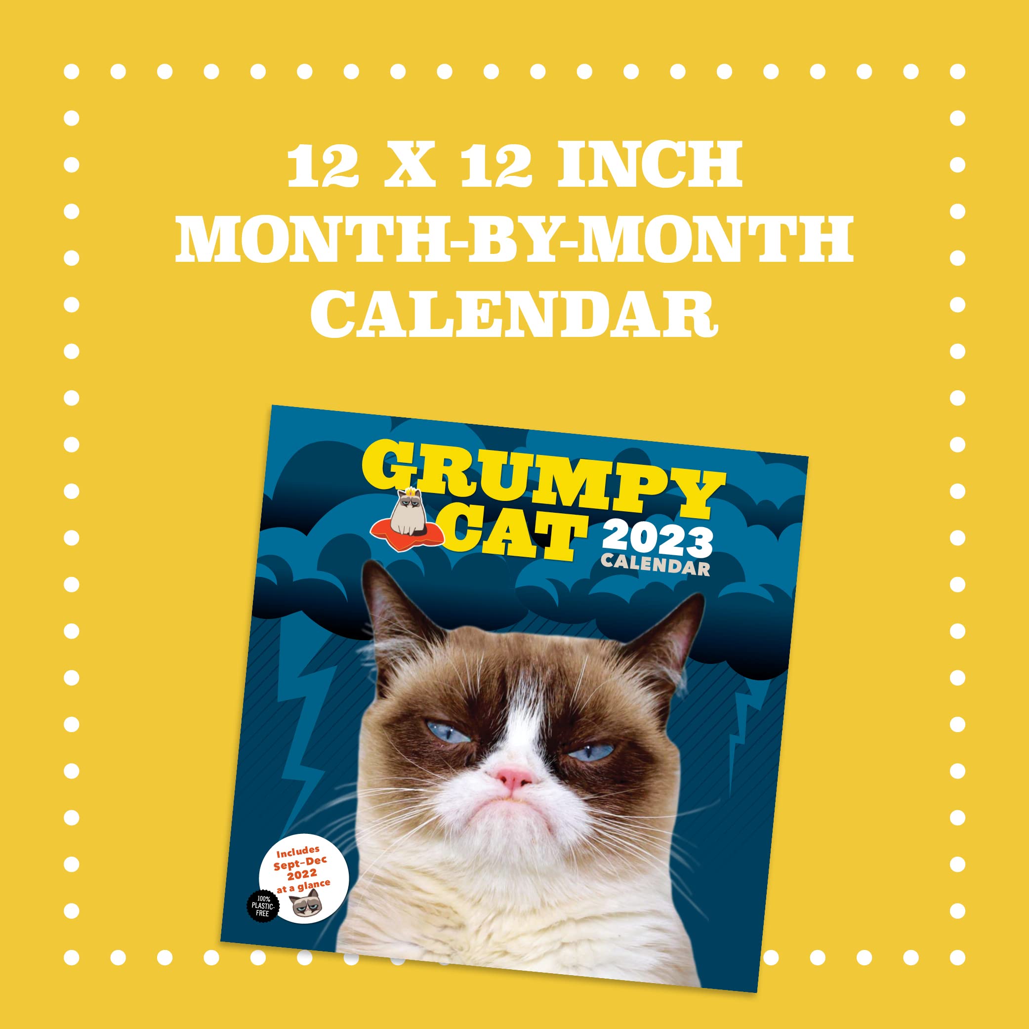 Grumpy Cat 2023 Wall Calendar