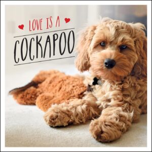 love is a cockapoo: a dog-tastic celebration of the world's cutest breed